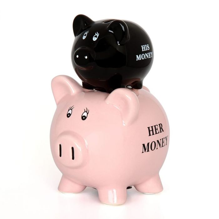 Funny piggy banks store